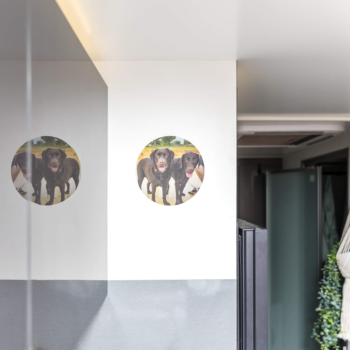 Wall Decals | Pretty Little Designs – Pretty Little Designs Pty Ltd