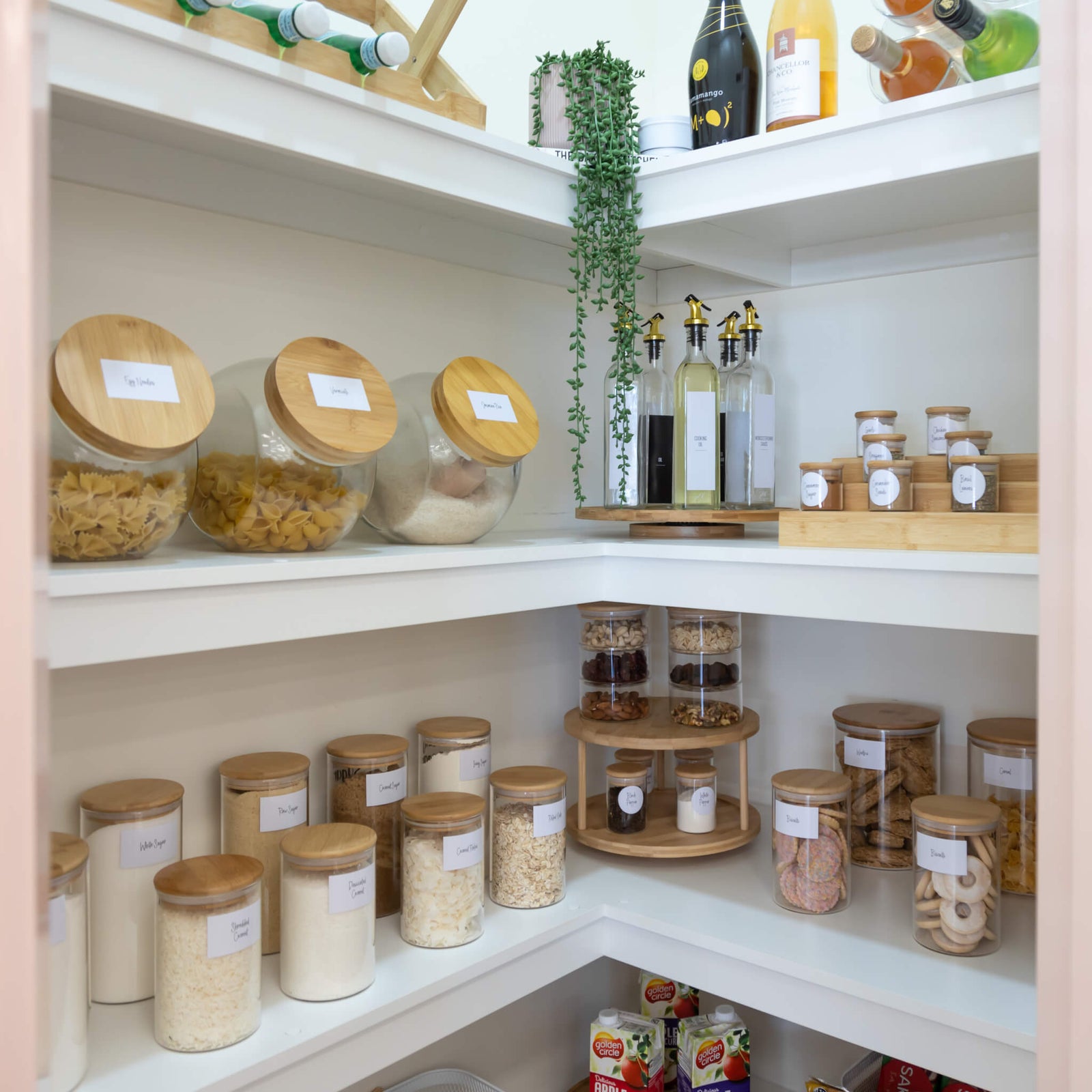 Services & Downloads | Pretty Little Designs – Pretty Little Designs ...